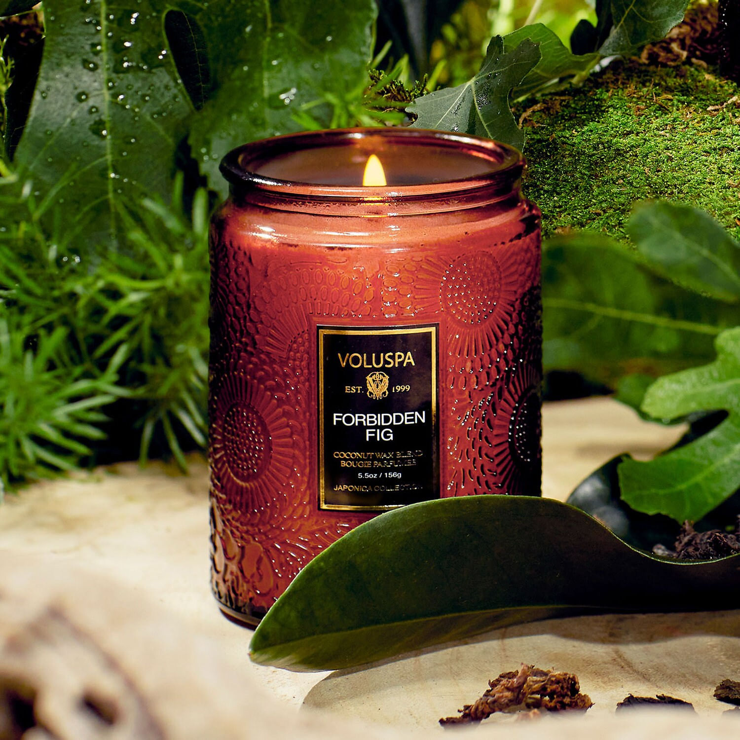 Mini Forbidden Fig Glass Jar Candle | Prevention Shop