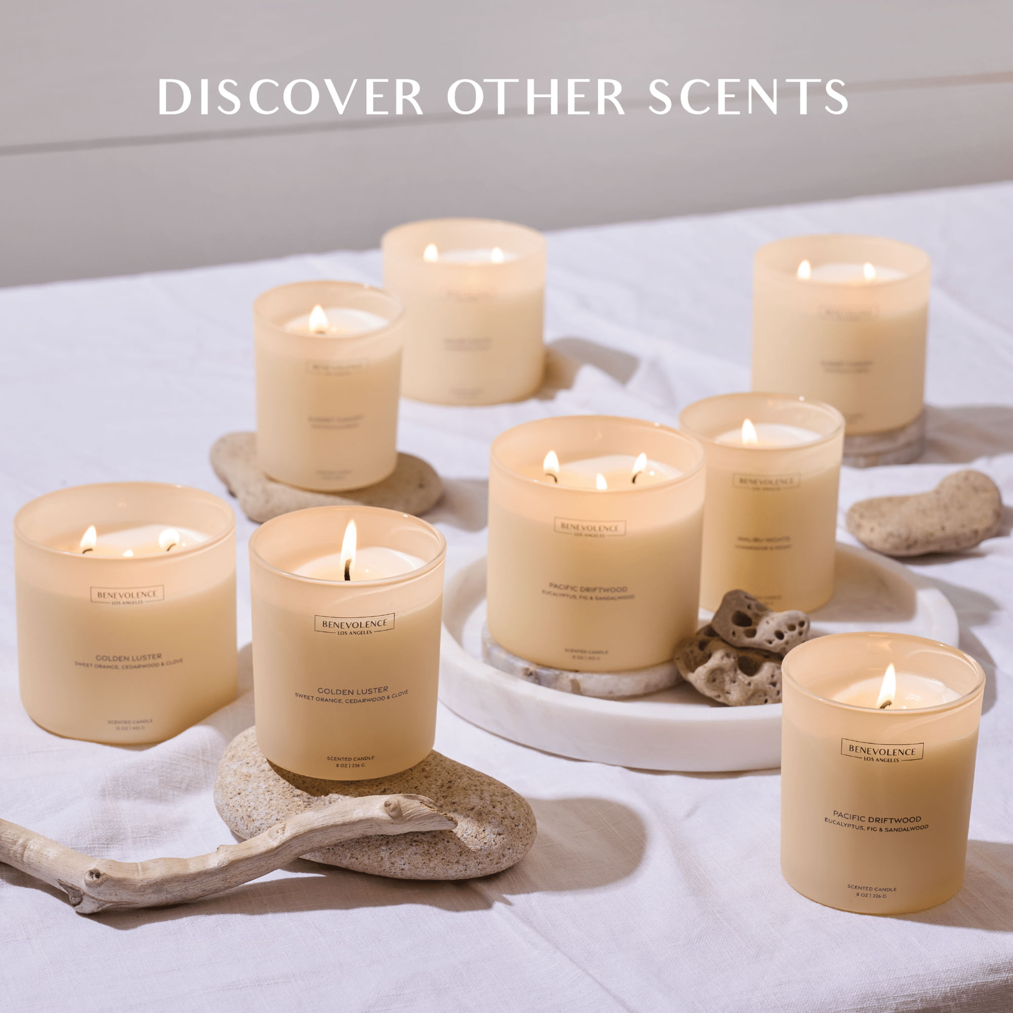 8oz Golden Luster Scented Candle | Prevention Shop