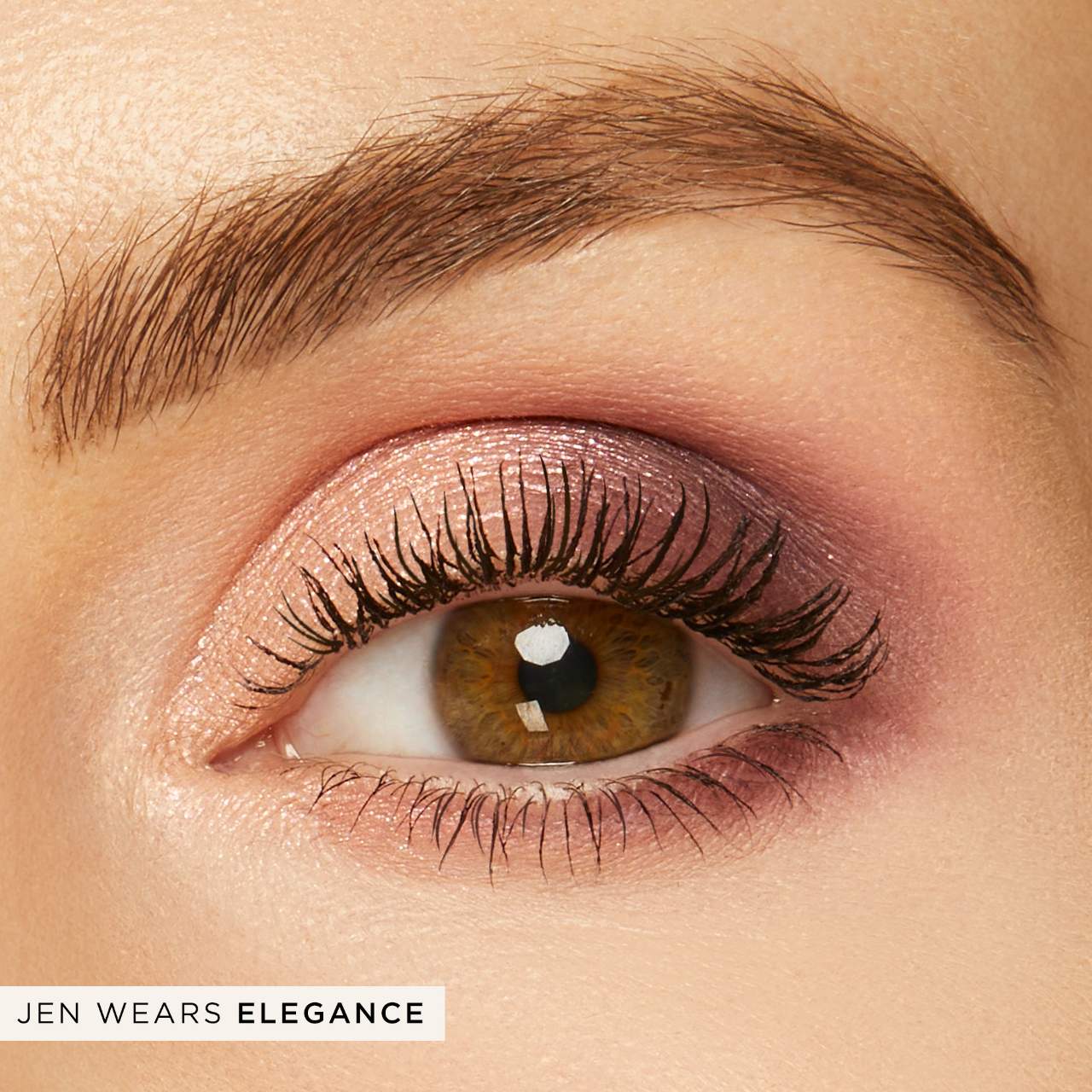 The Golden Era Amazonian Clay Collectors Set | Prevention Shop